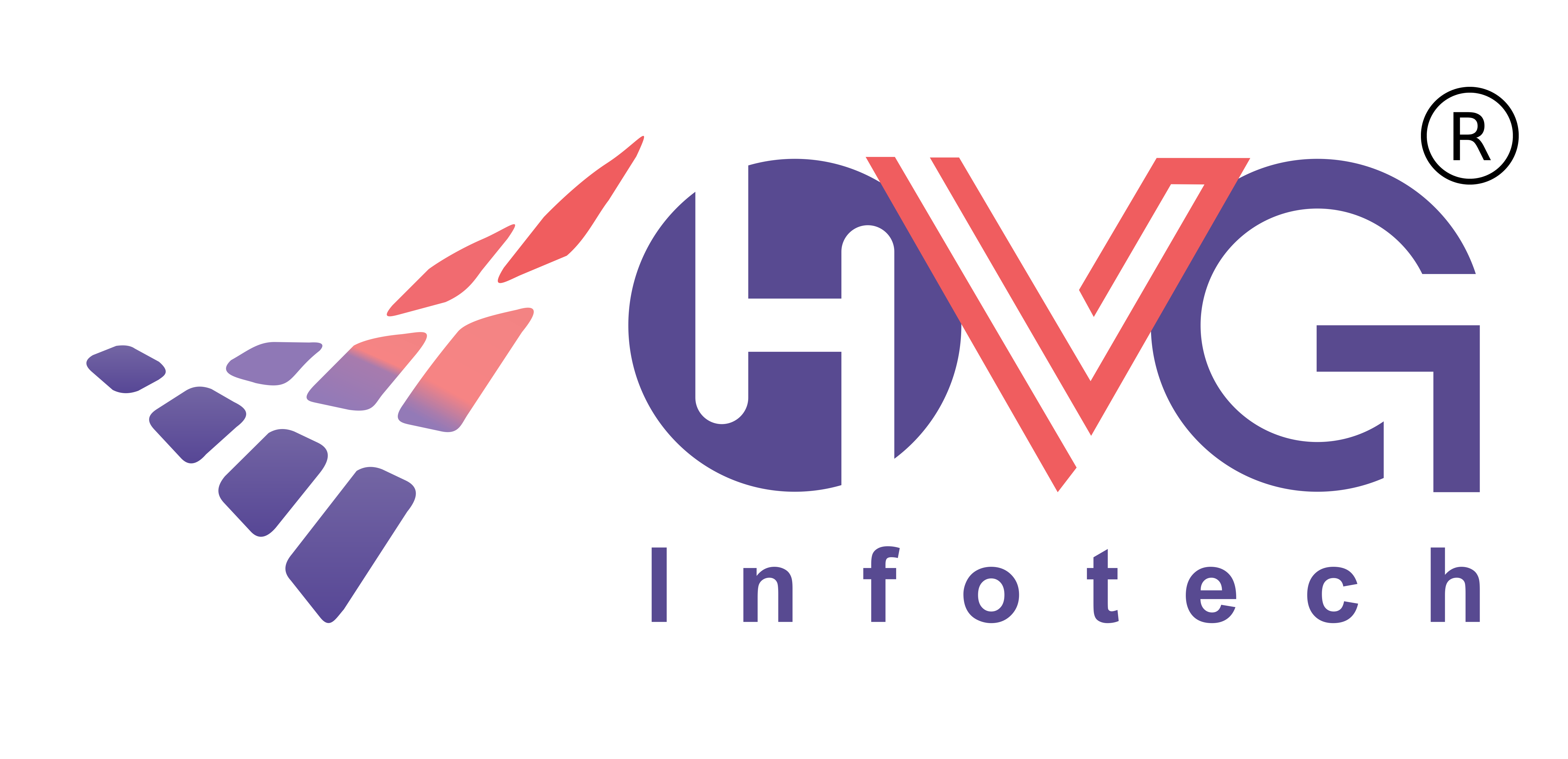 HVG Infotech